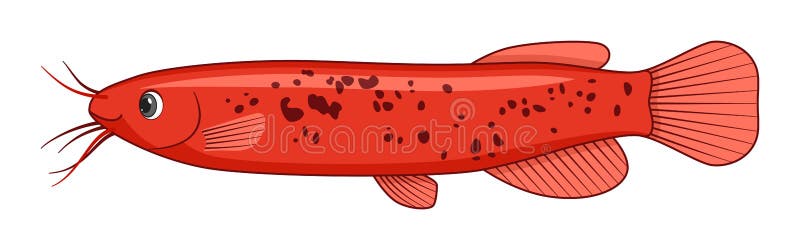 Electric Fish Ray Coloring Pages Stock Illustration - Illustration of ...