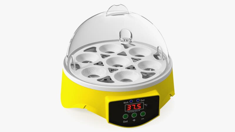 Electric Egg Incubator with Digital Temperature Display Stock Photo ...