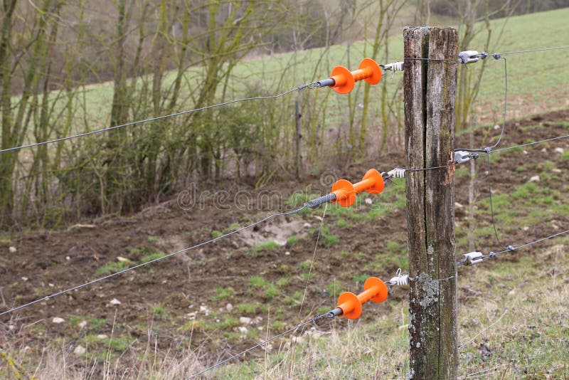 Electric Fence in the Field Stock Image - Image of power, nature: 113982883