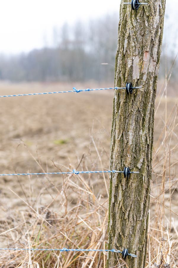 Electric Fence Wire Running Along a Fence in the Middle of a Field ...