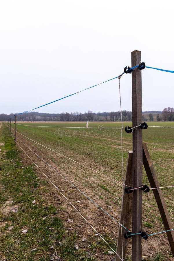 Electric Fence Wire Running Along a Fence in the Middle of a Field ...