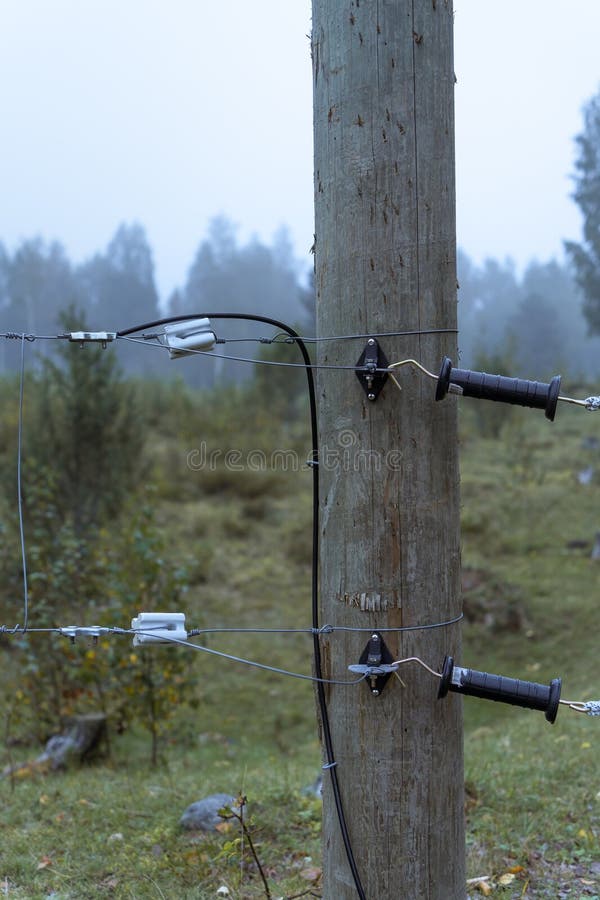 Electric Fence on a Wooden Pole in a Forest Stock Photo - Image of ...