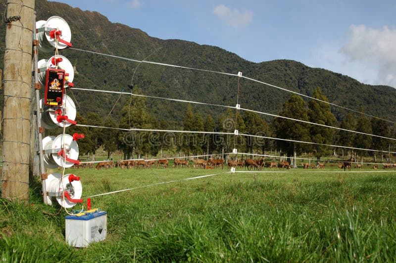 Warning-Electric Fence stock photo. Image of grass, electric - 14985956