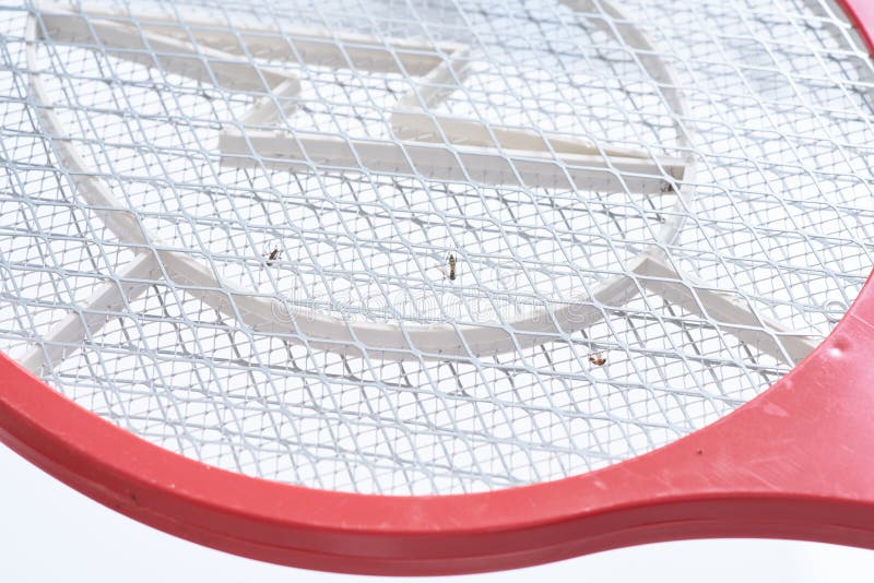 Electric Fly Swatter Mosquito Stock Image - Image of baby, isolated ...