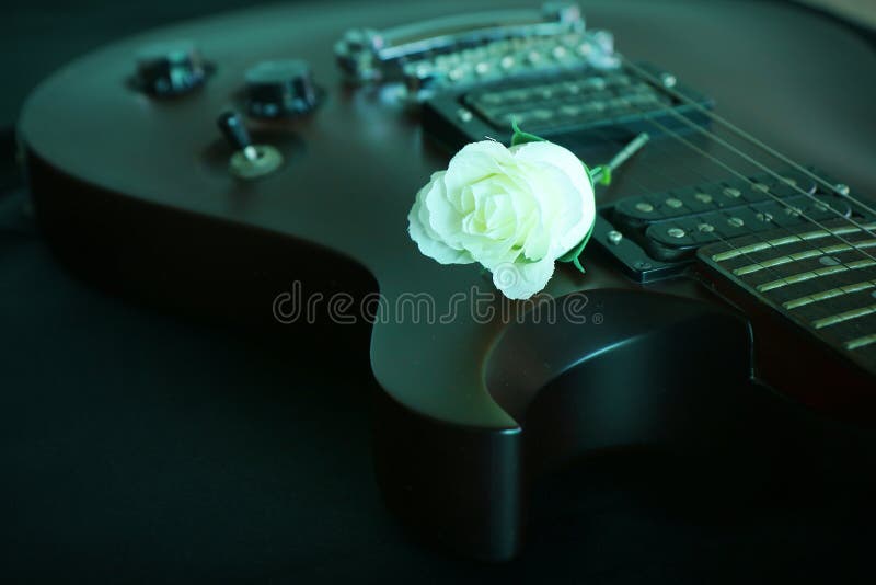 A White Plastic Rose is Placed on a Black Electric Guitar. Stock Image ...