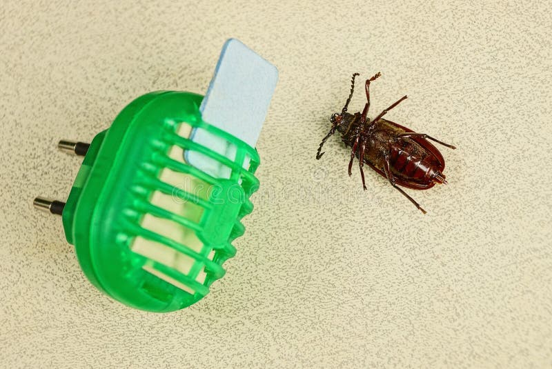 Electric Insect Repeller and Dead Brown Beetle Stock Photo - Image of ...