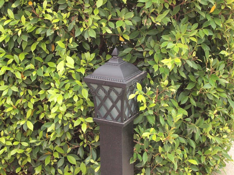 Electric Lamp Post in Garden Stock Image - Image of classic, beautiful ...