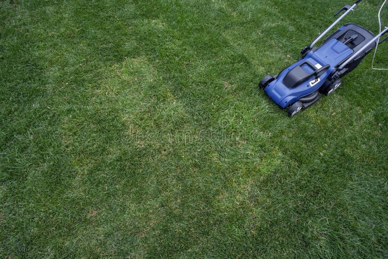 Electric Lawn Mower with Cable on a Green Lawn Stock Photo - Image of ...