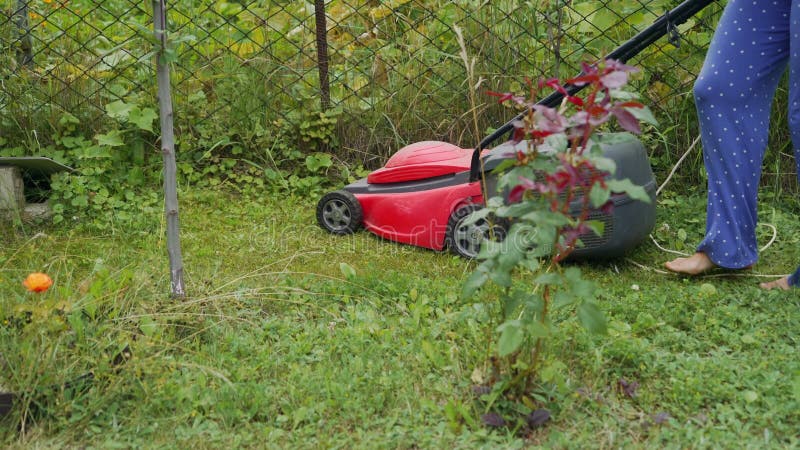 Electric Lawn Mower Cuts the Grass. Woman Mowing Lawn Stock Footage ...