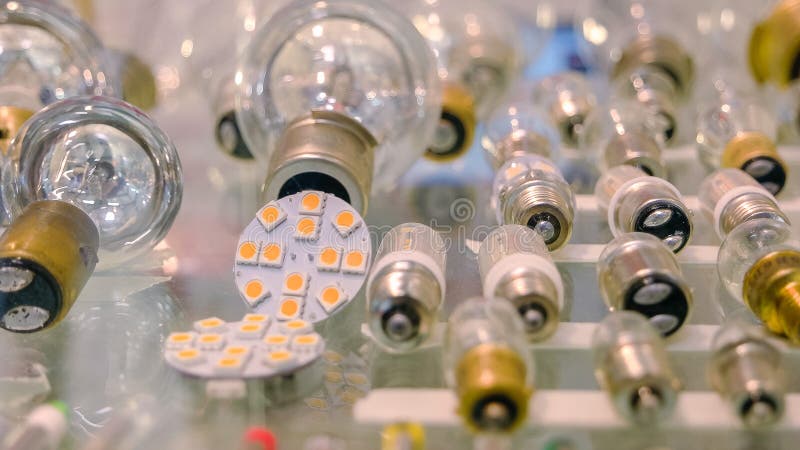 Electric Light Bulbs of Various Shape and Base. Stock Image - Image of ...