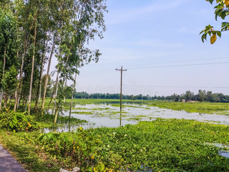 An Electric Line Over the River and Big Trees on the Shore Stock Image ...