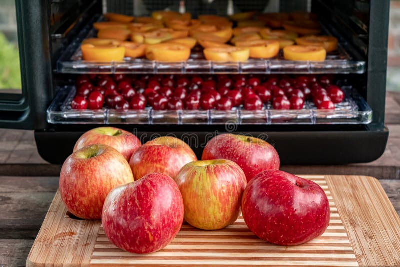 Electric Machine for Home Drying and Dehydration Stock Photo - Image of ...