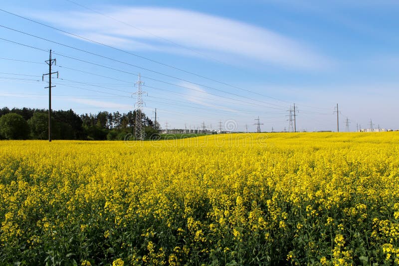 Electric main stock image. Image of electric, farm, cloud - 54292807