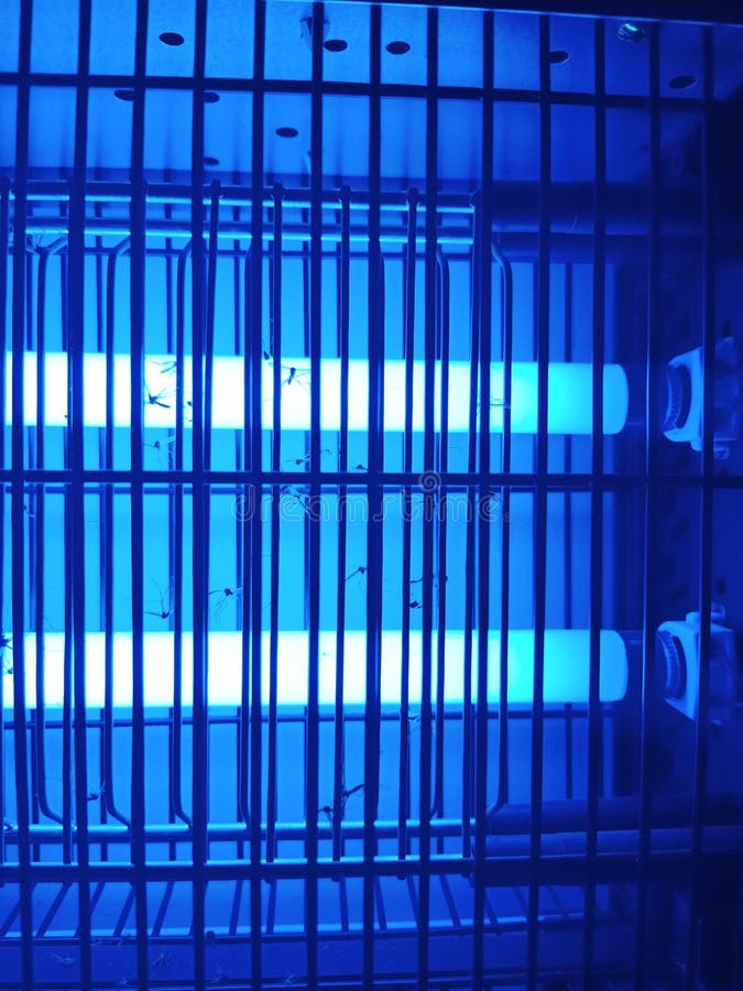Electric Mosquito and Insect Zapper with Blue Lights Turned on Stock ...