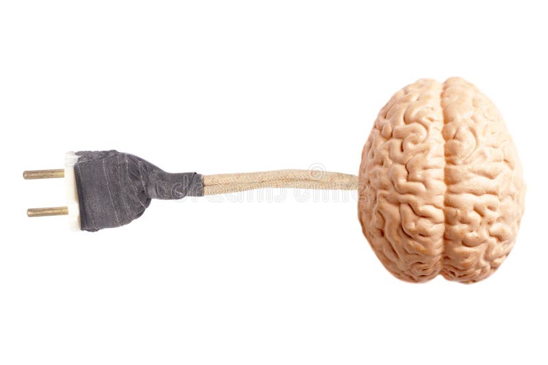 Electric Plug with Human Brain Anatomical Model Stock Image - Image of ...