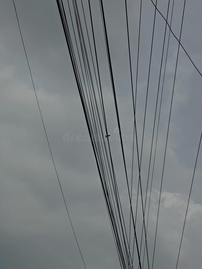 Electric Pole Cable on the Side of the Road Stock Image - Image of side ...