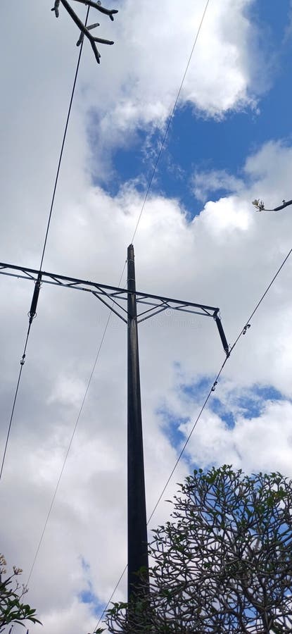 Electric Pole in the Middle of the Japanese Bali Tree Garden Stock ...