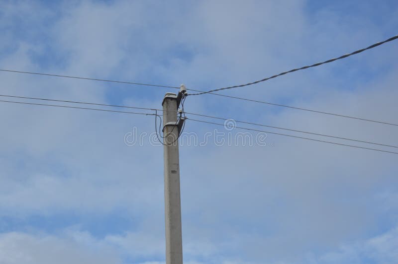 Electric Pole with Wires and Internet Stock Photo - Image of structure ...