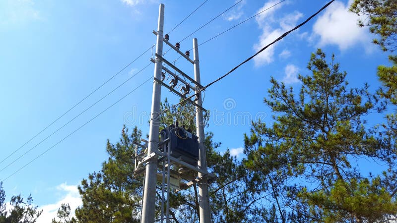 Electric Poles with Cables, Distribution of Electricity To Homes and ...
