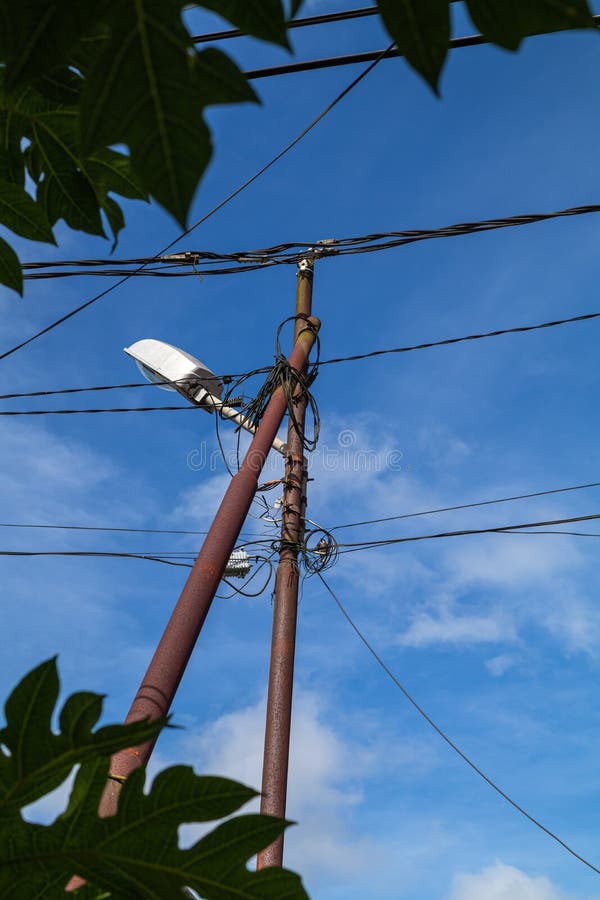 Electric Poles that Look Rusty Stock Photo - Image of tree, tangled ...