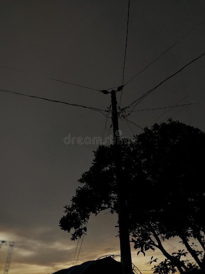 Electric Poles and Trees in the Afternoon , and Very Beautiful Stock ...