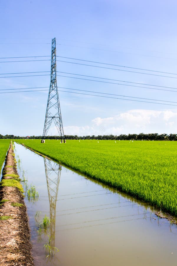 High-voltage towers stock image. Image of power, technology - 20807669