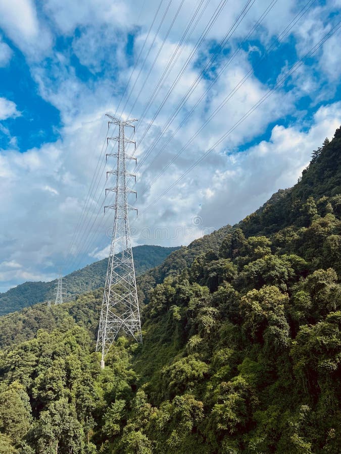 Electric Post with Cable Wires Surrounded by Trees Stock Photo - Image ...