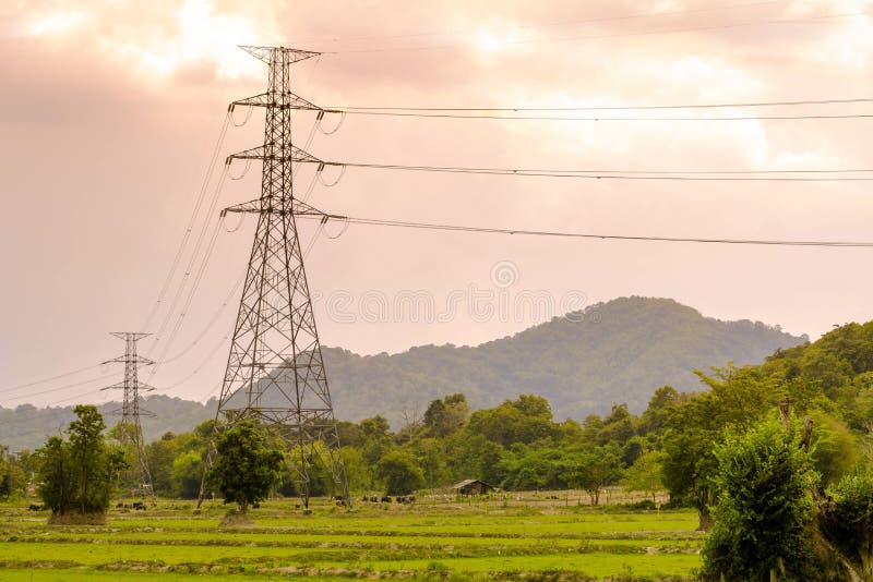 The Electric Post on Grassland. Stock Image - Image of pole, station ...