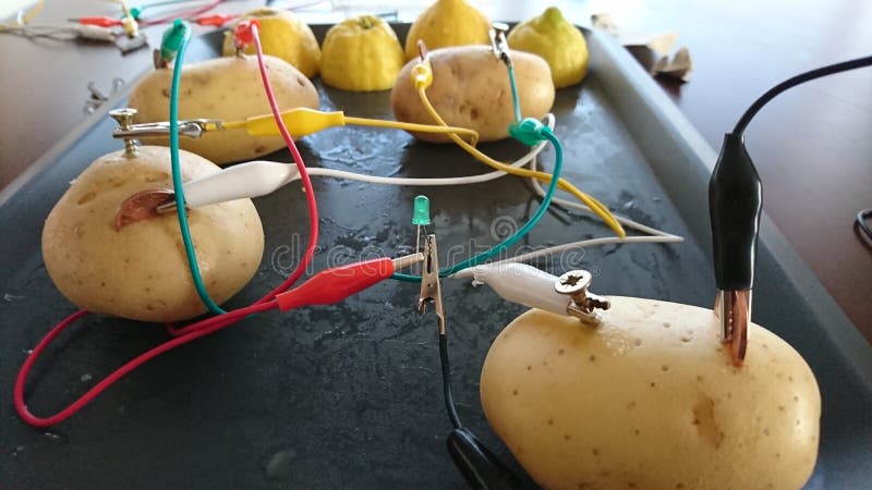 Electric potato stock image. Image of potato, electric - 117405299