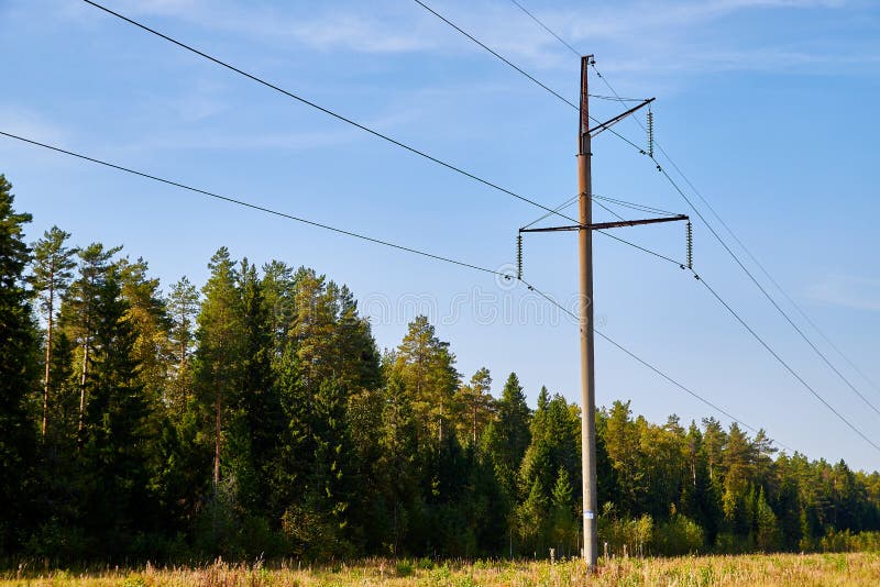 Electric Power Lines and Wires with Blue Sky and Forest. Support of ...