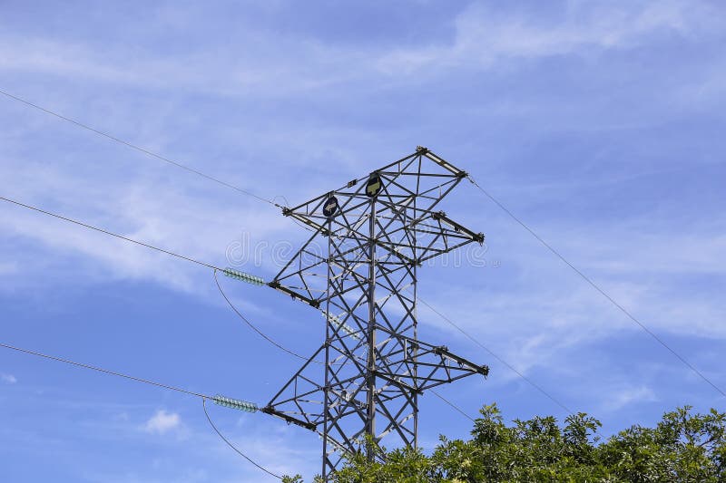 Electric Power Transmission Tower with Cables Connected Stock Photo ...