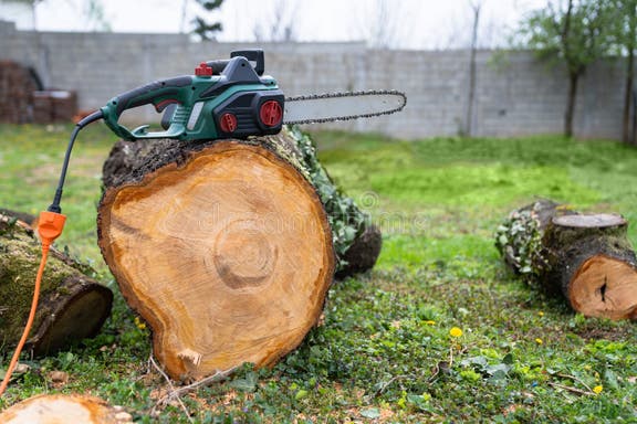 Electric Saw on an Old Tree in the Yard. Stock Photo - Image of ...