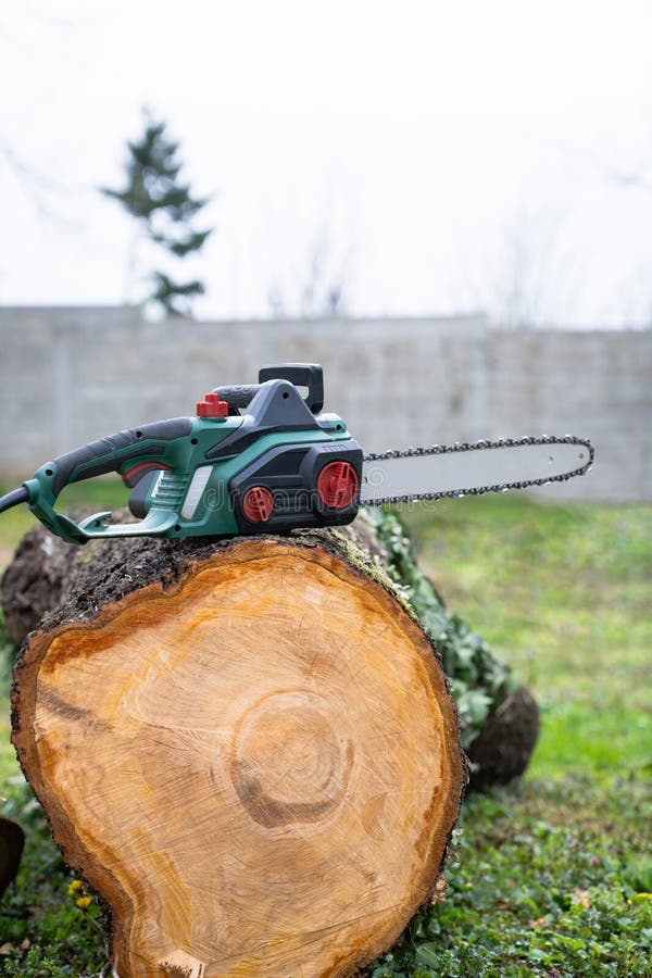 Electric Saw on an Old Tree in the Yard Stock Photo - Image of firewood ...