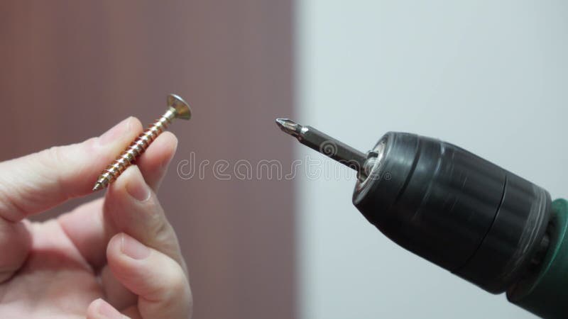 Electric Screwdriver on One Side and in Hand of Master on Other ...