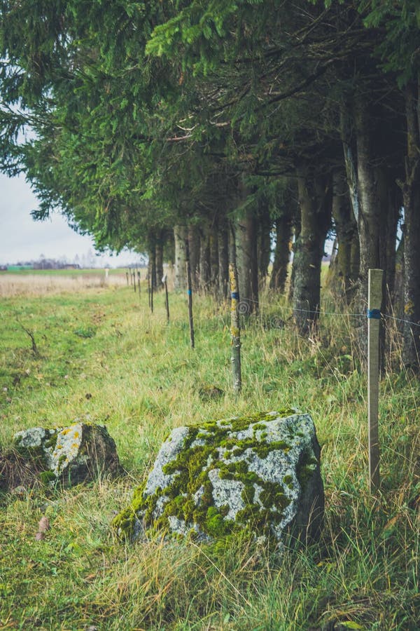 Electric Shepherd Made Used for Sheep and Other Animals Stock Image ...