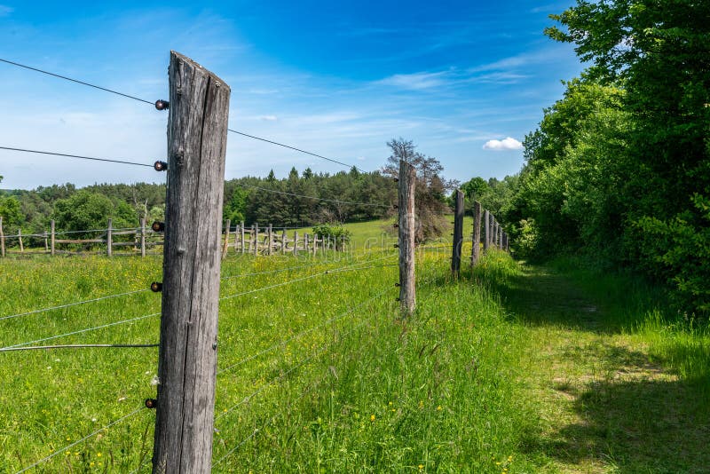 Electric Shepherd Wire in a Plastic Holder and Green Fields in ...