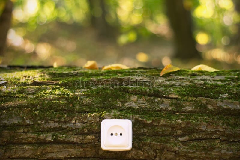 Electric Socket on Trees in Forest. Green Energy Concept Stock Photo ...