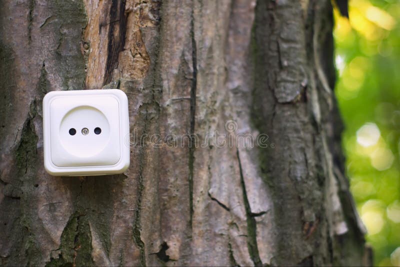 Electric Socket on Trees in Forest. Green Energy Concept. Stock Photo ...