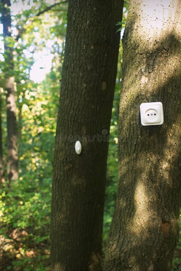 Electric Socket on Trees in Forest. Green Energy Concept Stock Image ...