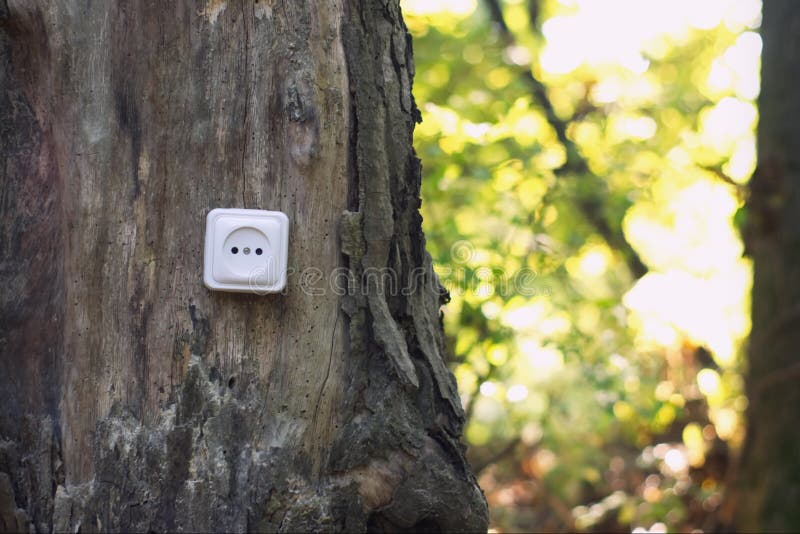 Electric Socket on Trees in Forest. Green Energy Concept Stock Image ...