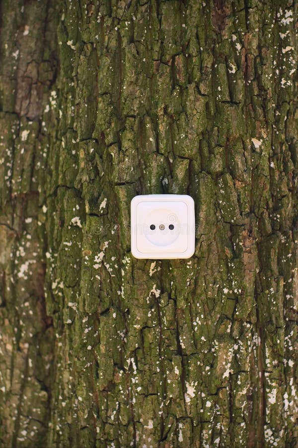 Electric Socket on Trees in Forest. Green Energy Concept Stock Photo ...