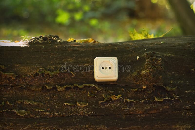 Electric Socket on Trees in Forest. Green Energy Concept Stock Photo ...