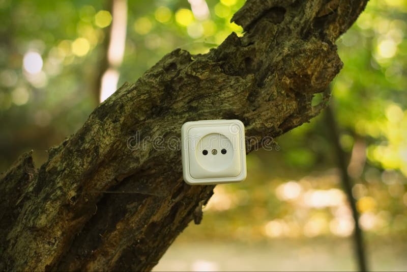 Electric Socket on Trees in Forest. Green Energy Concept Stock Photo ...