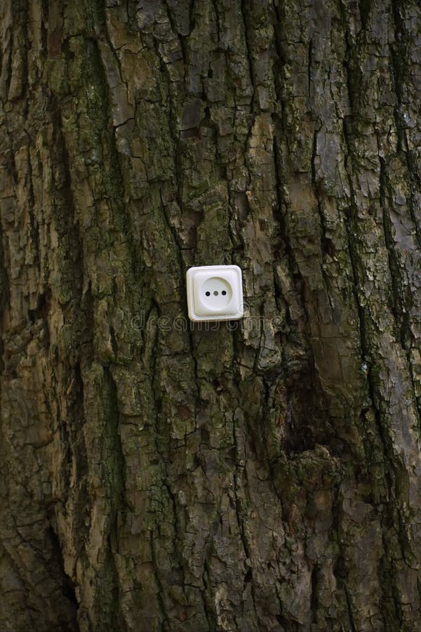 Electric Socket on Trees in Forest. Green Energy Concept Stock Image ...