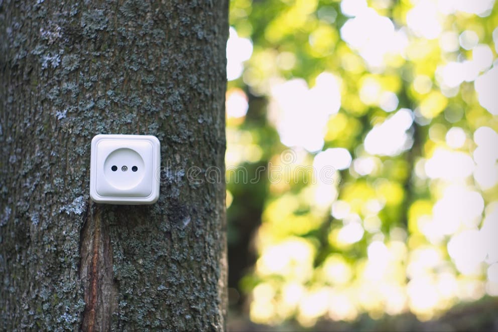 Electric Socket on Trees in Forest. Green Energy Concept Stock Photo ...