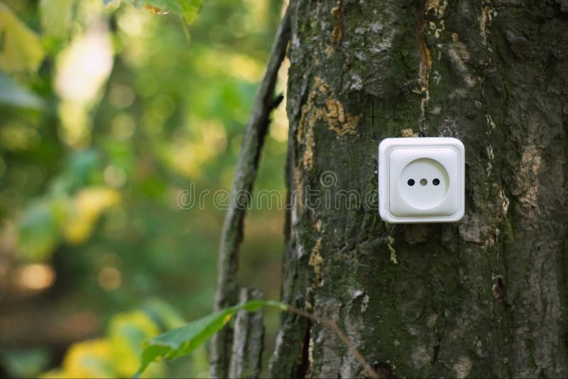 Electric Socket on Trees in Forest. Green Energy Concept Stock Image ...