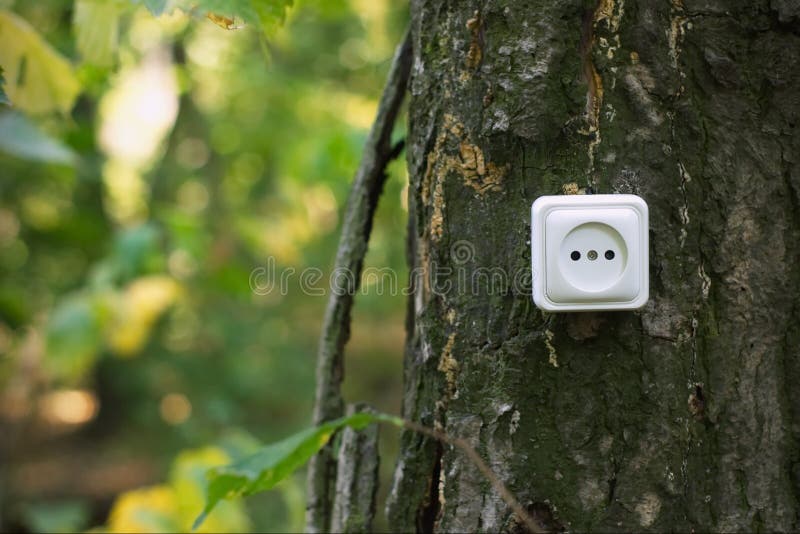 Electric Socket on Trees in Forest. Green Energy Concept Stock Image ...