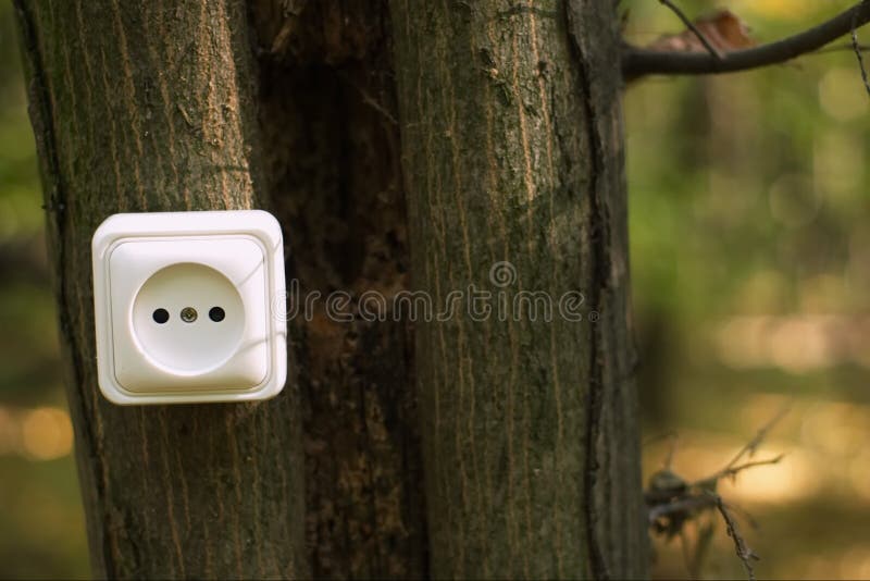 Electric Socket on Trees in Forest. Green Energy Concept Stock Image ...