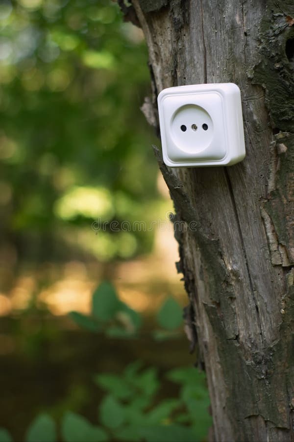 Electric Socket on Trees in Forest. Green Energy Concept Stock Photo ...