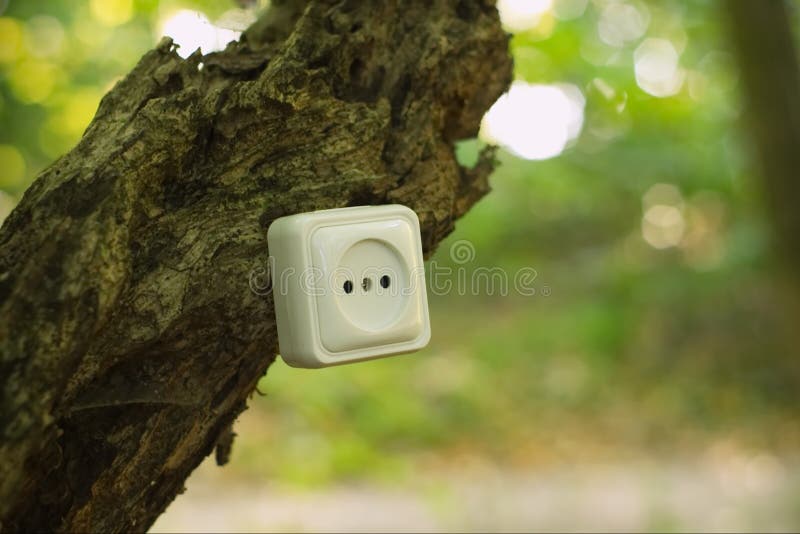 Electric Socket on Trees in Forest. Green Energy Concept Stock Image ...
